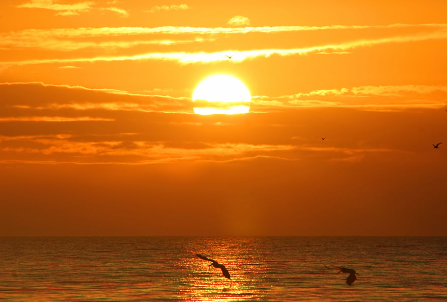 Here Comes the Sun