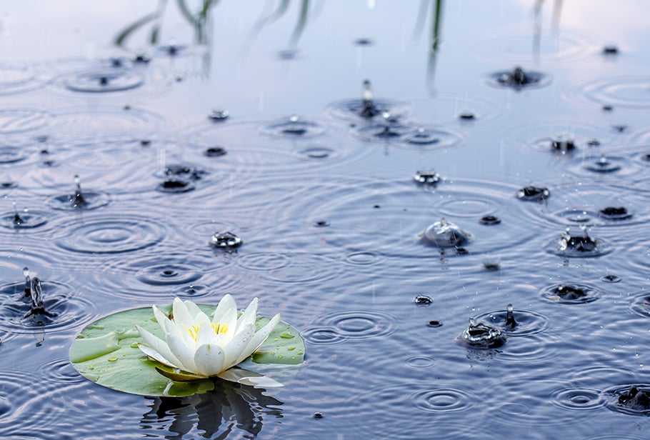 El ciclo del agua