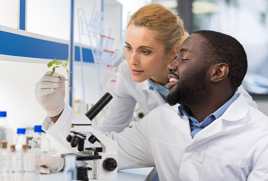 Scientists And What They Do